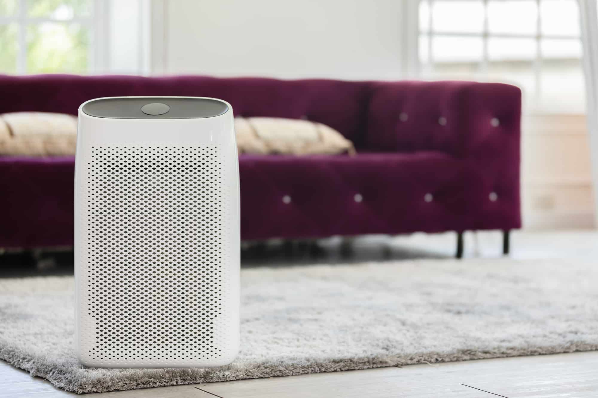 Canada’s Guide to Air Purifiers: Enhancing Indoor Air Quality | Made in CA