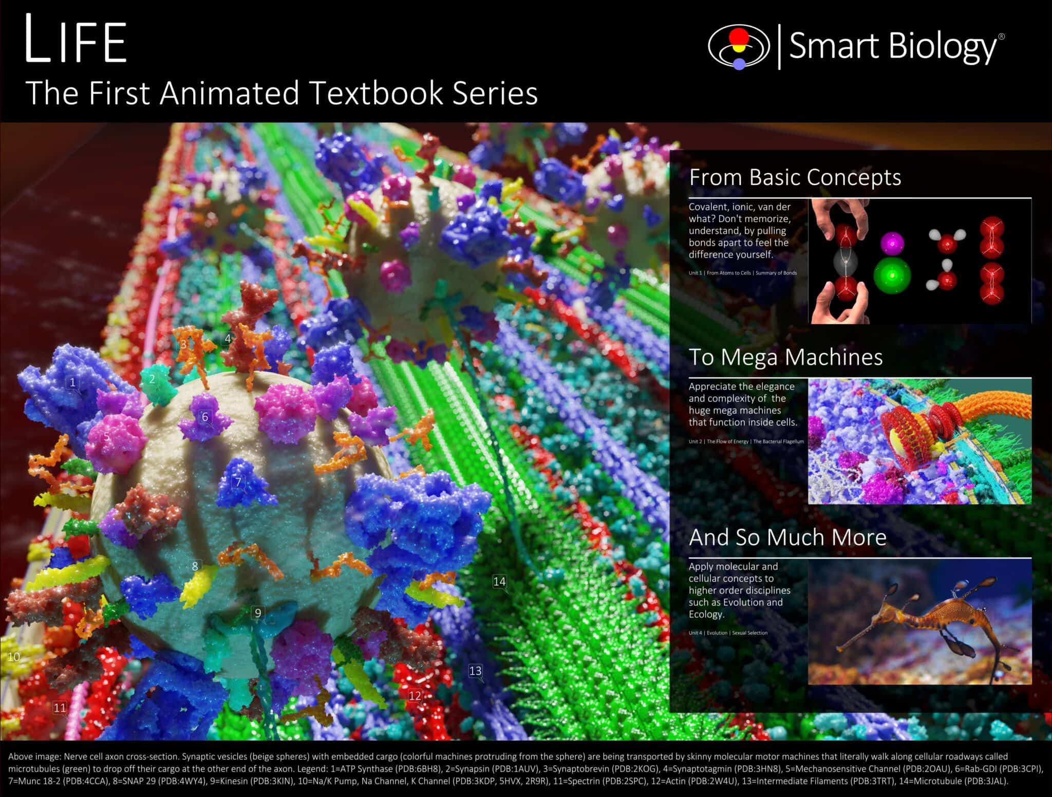 Andrew Catalano: Smart Biology Changing How the World Understands ...