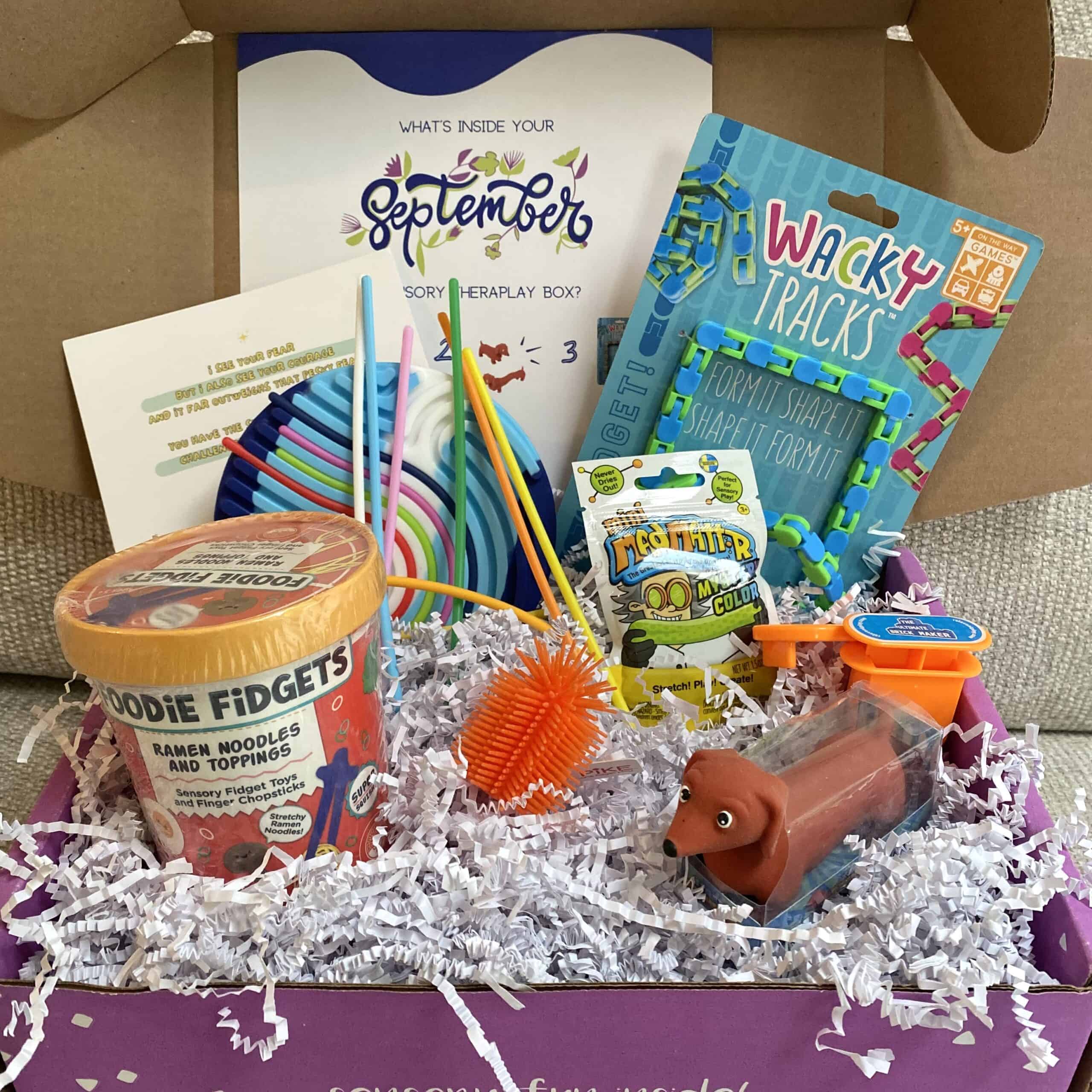 Sensory TheraPlay Box | Made in CA