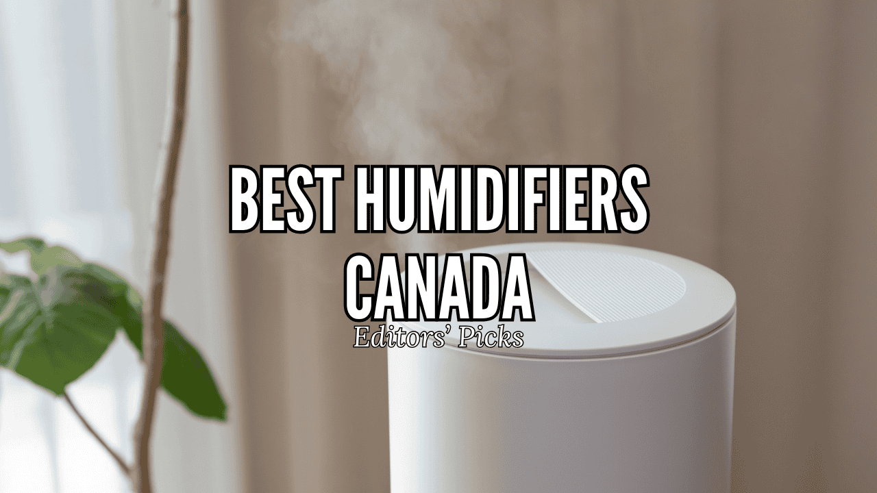 5 Best Humidifiers in Canada of 2026 | Made in CA