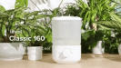 5 Best Humidifiers in Canada of 2026 | Made in CA